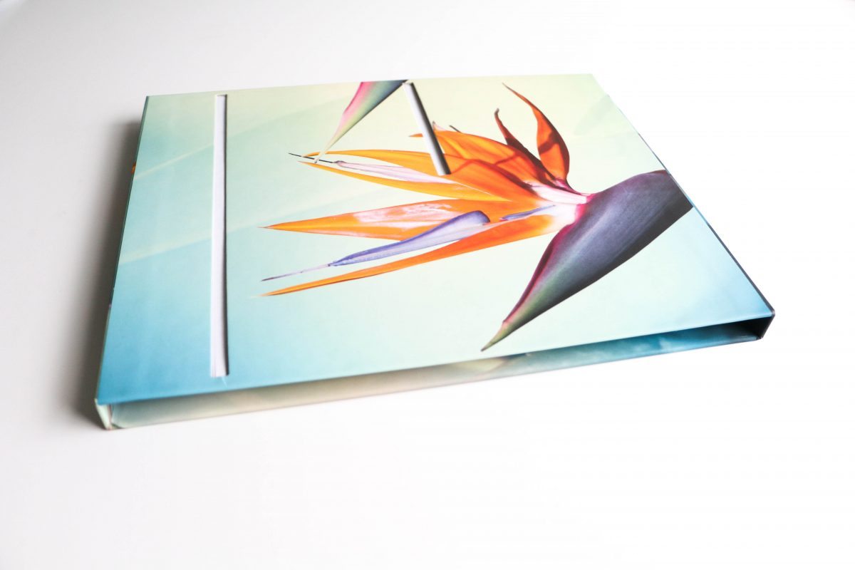 logix health2 (1 of 1) - Friend Box Company